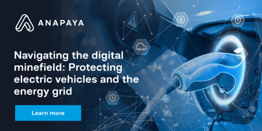 Anapaya | Secure, resilient, and controlled connectivity with SCION